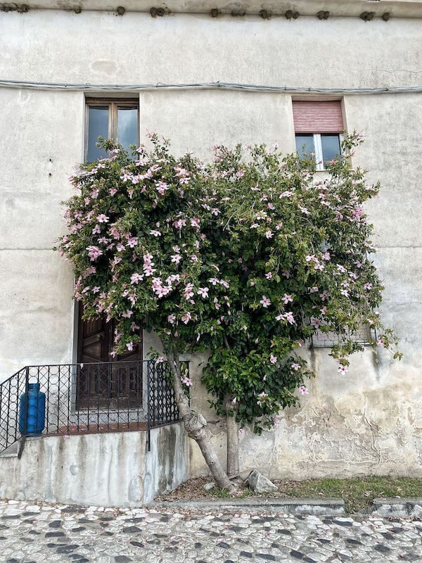 A Quick Guide To Posada, Sardinia: 5 Best Things To Do